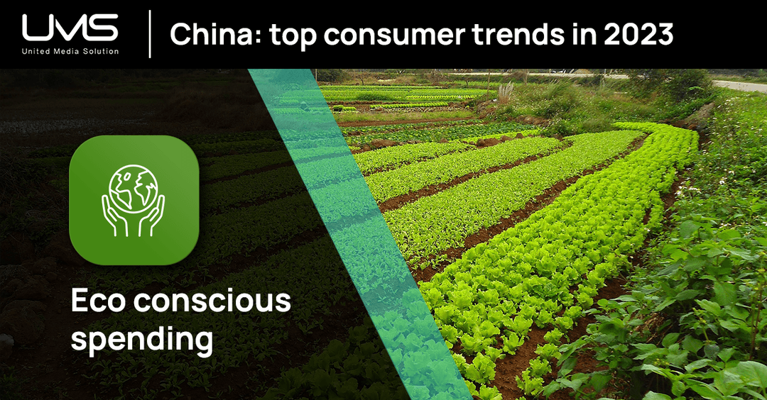 United Media Solution, UMS - China Digital Marketing Agency | Focused ...