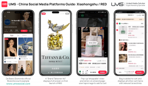 RedNote's Rise: A New Opportunity for Brands - United Media Solution Blog